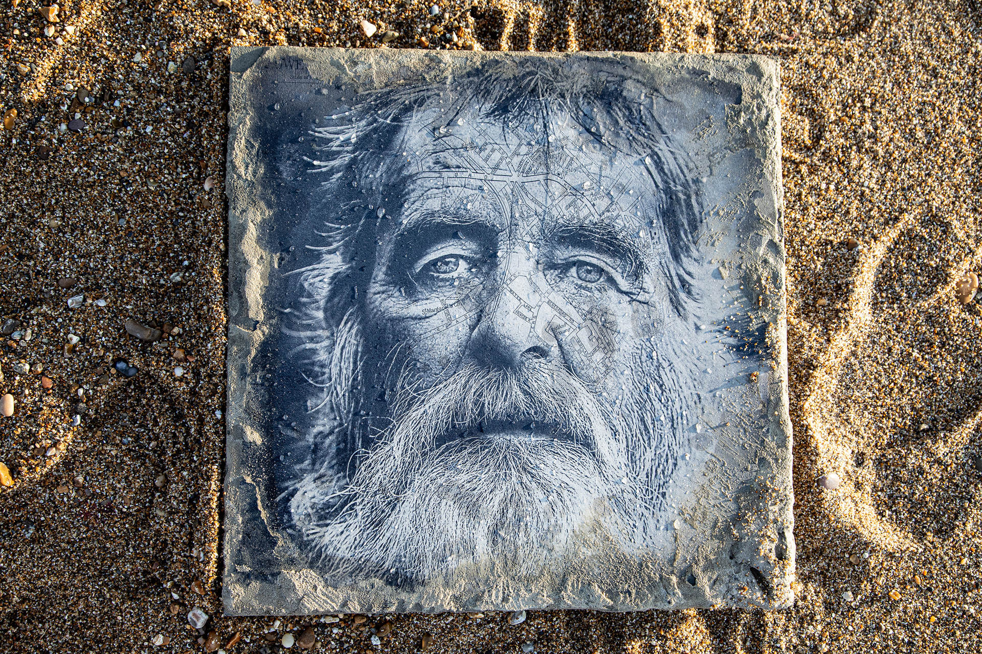 Living Concrete - Photography Chronicle