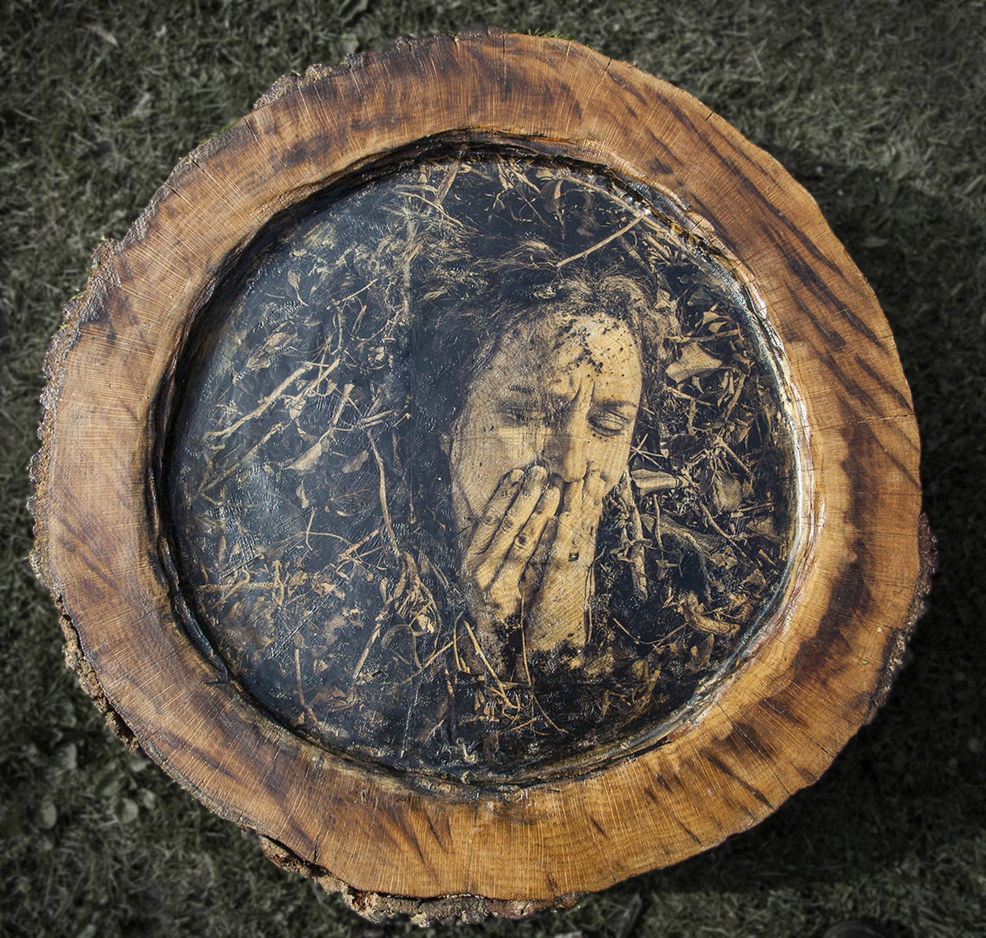 Living Concrete - Photography Chronicle