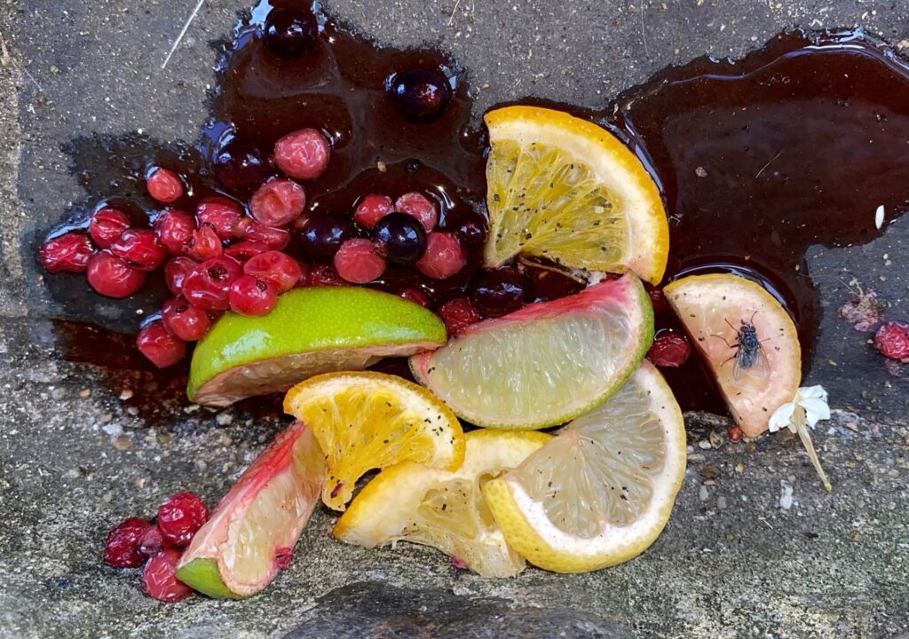 Someone's Rubbish - Photography Chronicle